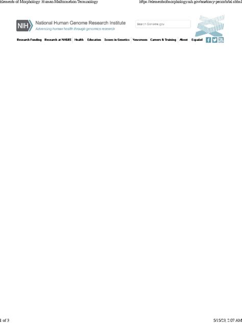 Peri Medical Term Definition Sks Search