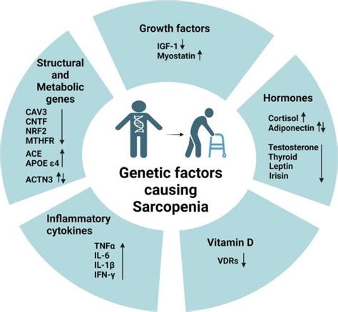 Hereditaria Blanca Bermejo 10 Comentarios