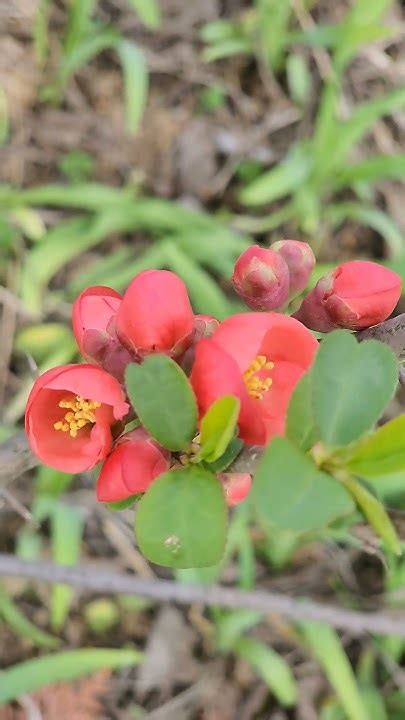 자야 자야 명자야 Youtube