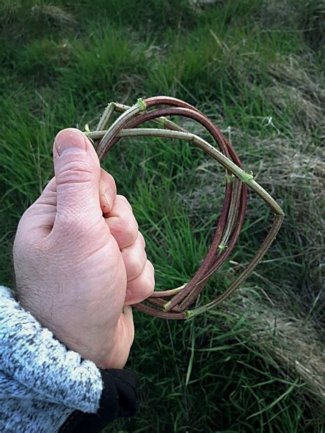 Młode Pędy Chmielu Skazani Na Outdoor Marcin Pempera Warsztaty I Szkolenia Survivalowe