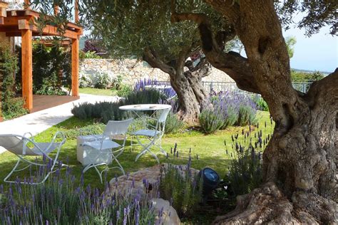 דף הבית תמרין סוויטות בוטיק