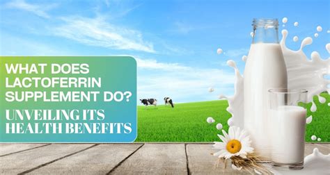 What Does Lactoferrin Supplement Do Unveiling Its Health Benefits Wellness Extract Usa