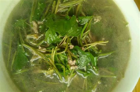 雷公根汤 快懂百科