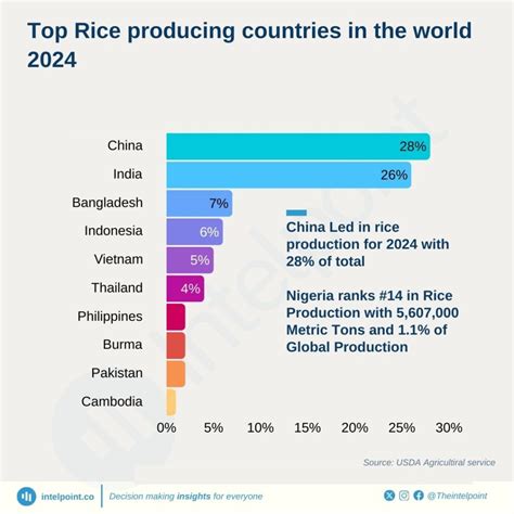 Trends Of Rice Producing Countries 1990 2024 Global Rice Production