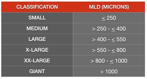 Close Study Offers Updated Surgical Classification For Treating Large