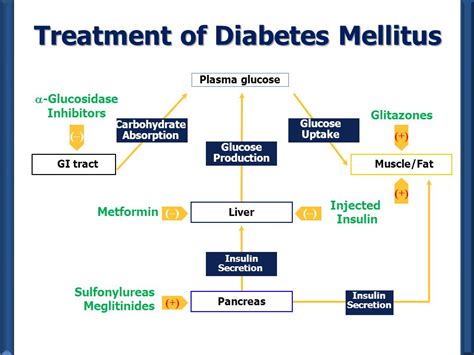 Diabetes Mellitus Treatment Ppt