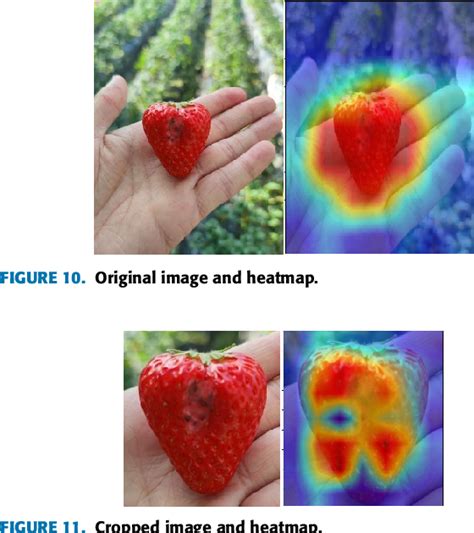 Figure 1 From Research On Strawberry Quality Grading Based On Object