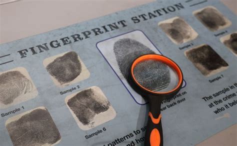 Use Your Forensic Skills To Track Down The Brazen Easter Egg Thief With