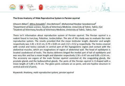 Pdf The Gross Anatomy Of Male Reproductive System In The Hedgehog