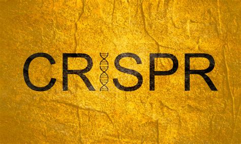 1400 Crispr Ilustrasi Grafik Vektor And Clip Art Bebas Royalti Terbaik Istock