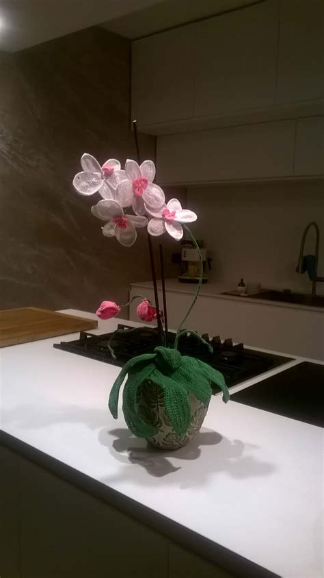 Submitted By Thefastreader