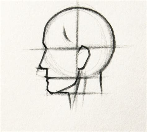 How To Draw A Head Side View Head Drawing Tutorial Step By Step For