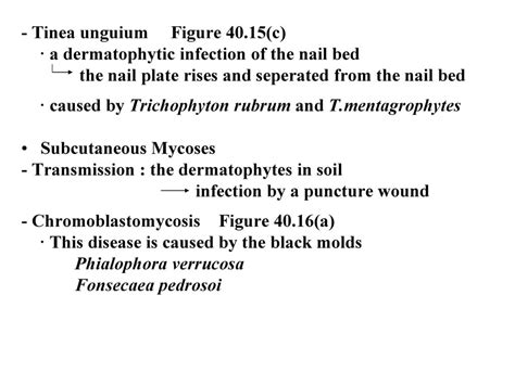 Chapter 40 Human Disease Caused By Fungi And Protists Ppt Download
