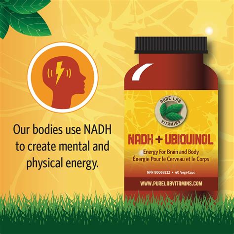 Nadh Affects Cognitive Function By Pure Lab Vitamins Facebook
