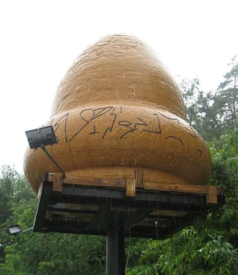Space Acorn In Kecksburg