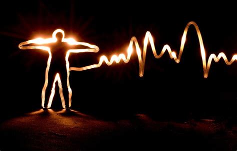 Workforce Surveys Analysis • Heartware Group