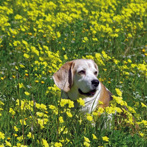 Todos Los Productos Vuala