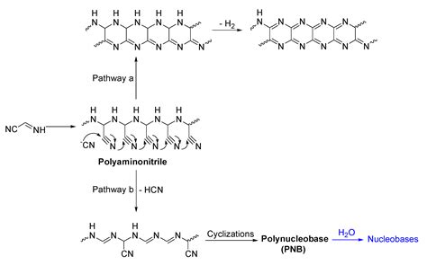 Hcn Structure