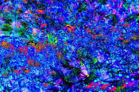 Your Holiday Pictures Eric Neveu The Eye Of Photography Magazine