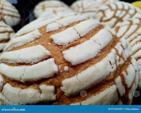 Concha Pan Dulce México Sweet Bread Of Mexico Stock Image Image Of