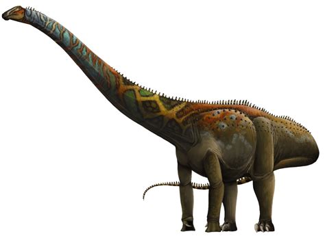 A Dinosaur A Day Barosaurus Lentus