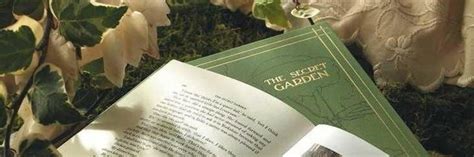 Twitter Header • Aesthetic Layout • Notion Cover Cute Headers For