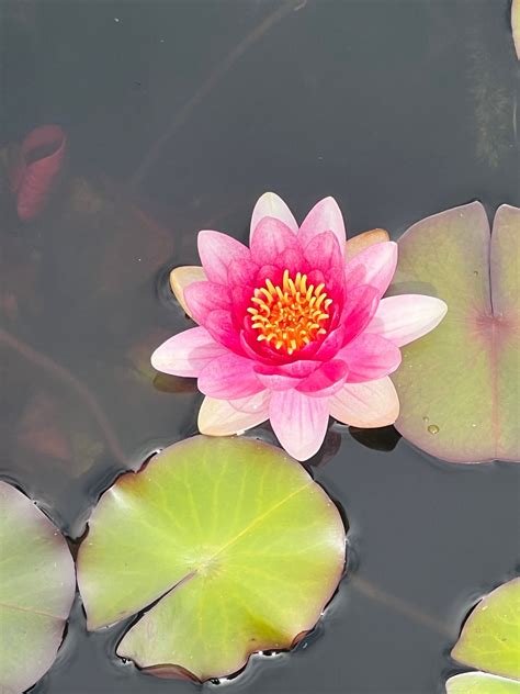 Checkliste Erbrecht Was Nach Einem Todesfall Eines Angehörigen Erledigt Werden Sollte