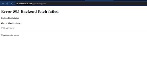 how to fix error 503 backend fetch failed