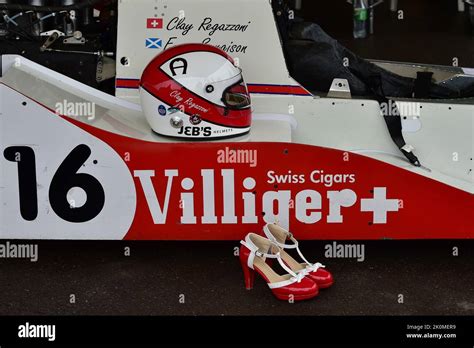 Ewen Sergison Shadow Dn9 Grand Prix Greats Grand Prix Cars From The