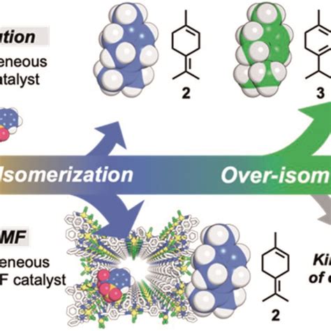Acid Catalyzed Limonene Isomerization In Bulk Solution And In The Mmf Download Scientific