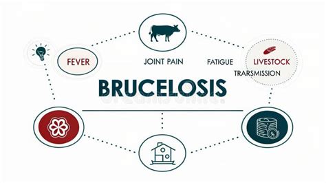 A Disease Or Medical Condition Brucellosis For A Lecture Post Publication Article Or Essay