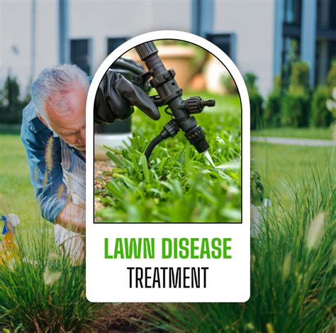 Lawn Disease Treatment Fix Brown Patch In Charlotte Nc