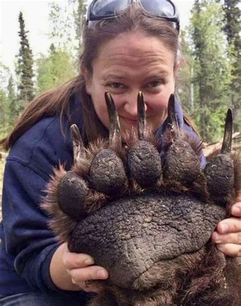 Birb Is Thick Rabsoluteunits