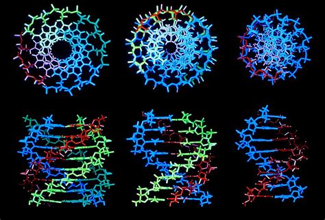 Infinity Imagined The Different Structural Conformations Of Dna Visualized Along The Helical