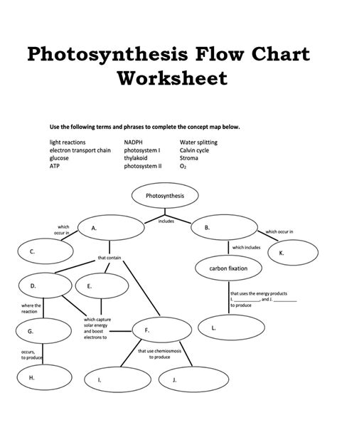 Photosynthesis Diagram Worksheets Free Image And Pdf Printables