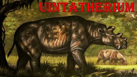 Uintatherium Youtube