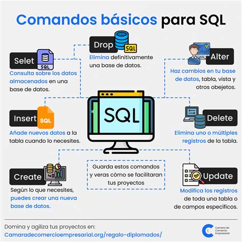 🤓 Describimos Para Ti Los Cámara De Comercio Empresarial Facebook