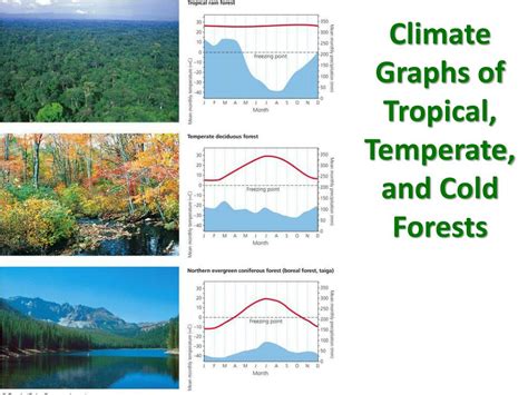 Ppt Climate And Terrestrial Biodiversity Chapter 7 Powerpoint
