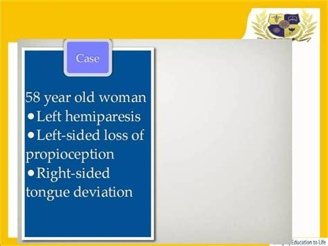 Brain Stem Lesions Anatomy And Physiology Pptx