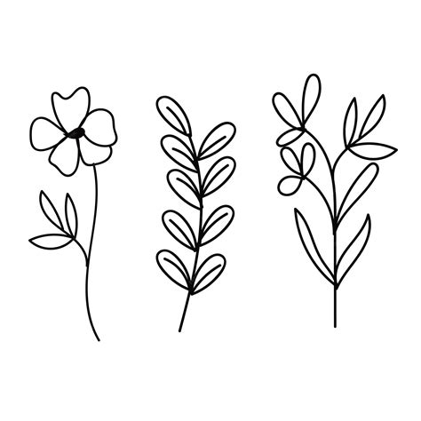 Premium Vector Three Flowers On A White Background