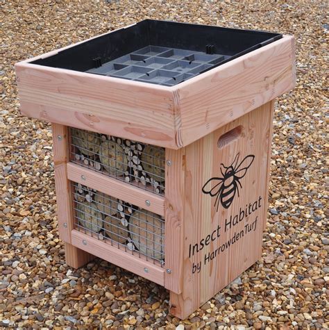 Insect Habitat