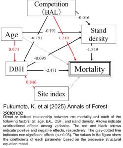 Intra Specific Variation In Mortality Of Even Aged Cryptomeria Japonica