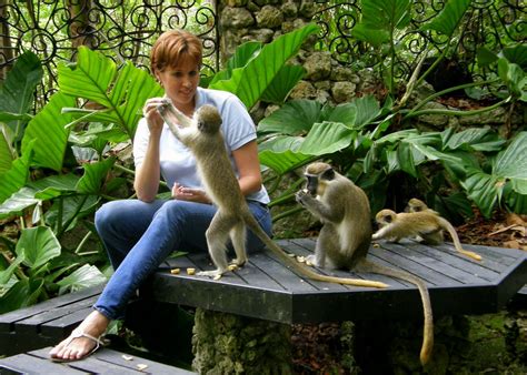 A Bajan Tour Girl Exploring Barbados About The Bajan Tour Girl