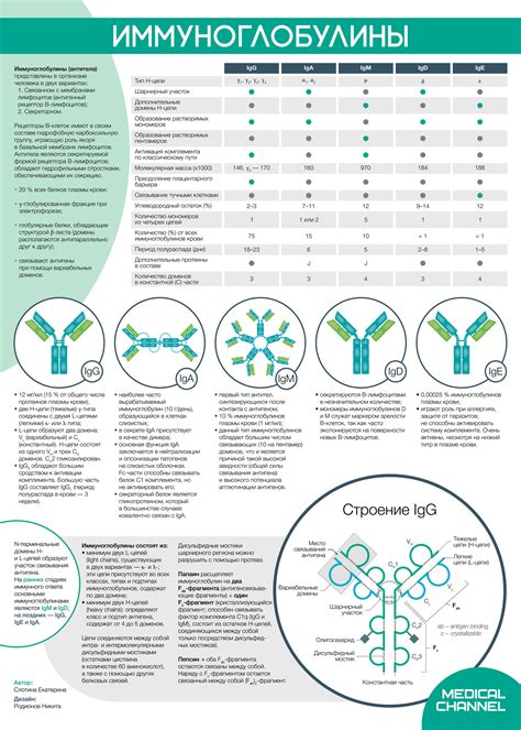 Иммуноглобулины