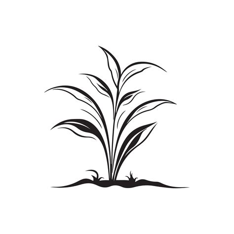 Plant Vectors Illustrations 34897985 Vector Art At Vecteezy