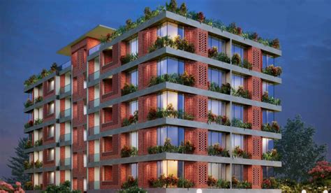 Is Paldi The Right Place For You A Real Estate Guide