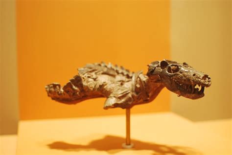 The New Serpent King Vasuki Indicus By Prashant Yadav Fossils Et Al Medium