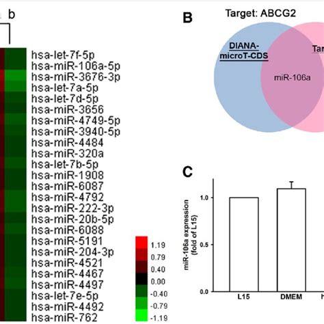 Cluster Analysis And Validation Of Microrna Microarray A Cluster Download Scientific Diagram
