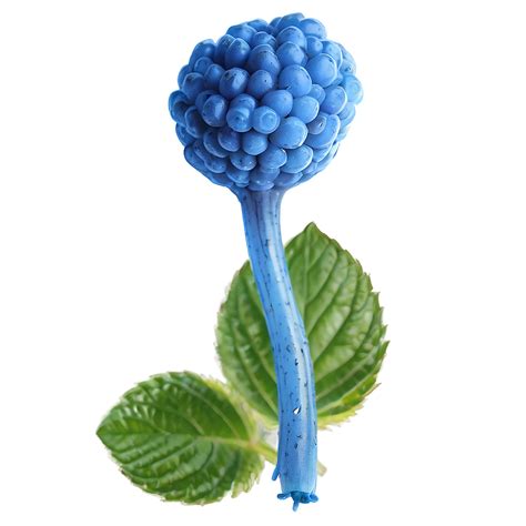 [200 ] Blue Raspberry Png Images