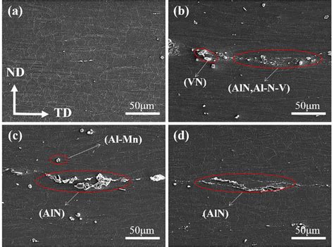 Microstructures Of Extruded Alloys On Ed Surface Of Az31 X Wt Vn X
